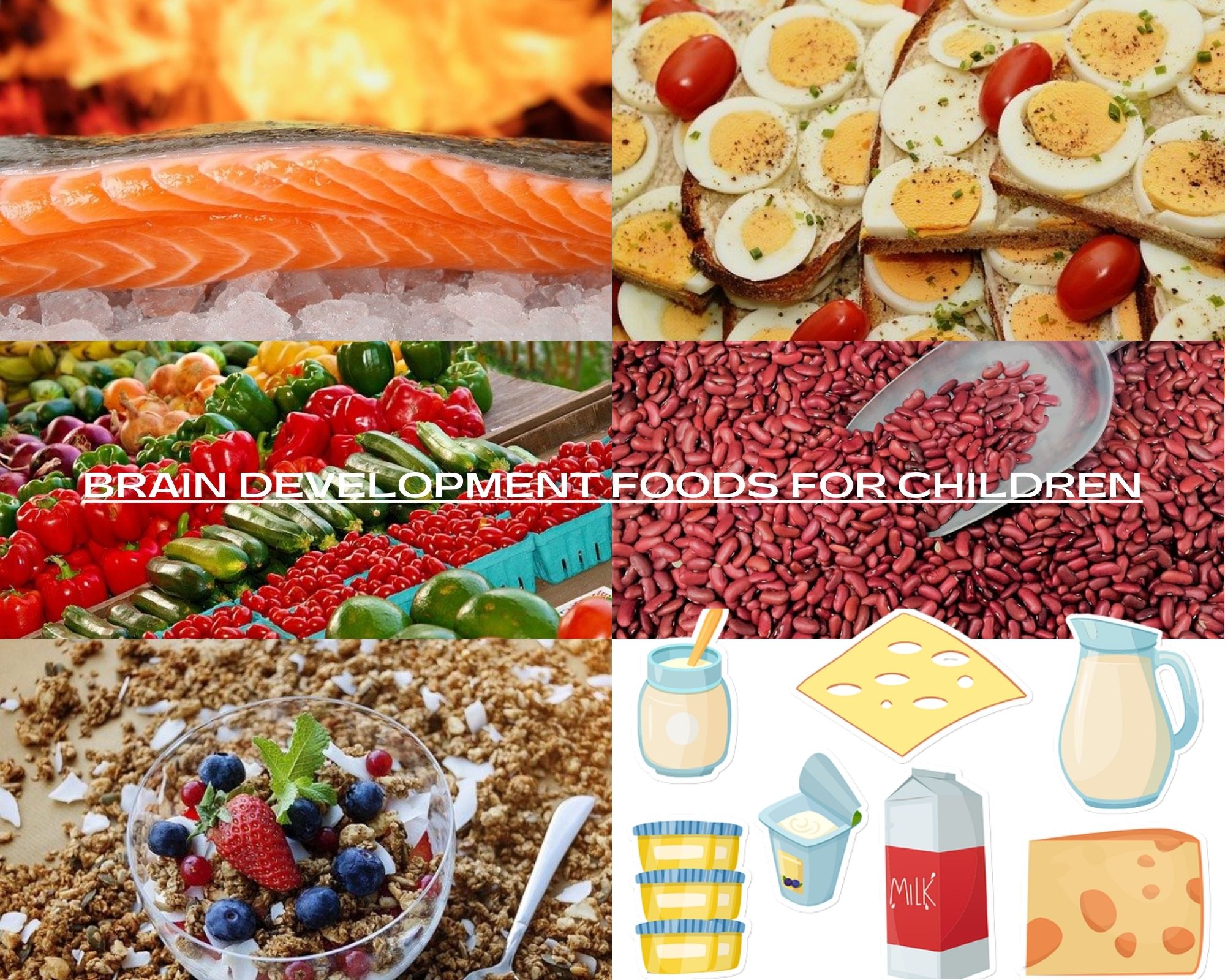 Creative Mind: The Top Brain Development Foods For Children | AB Sharing